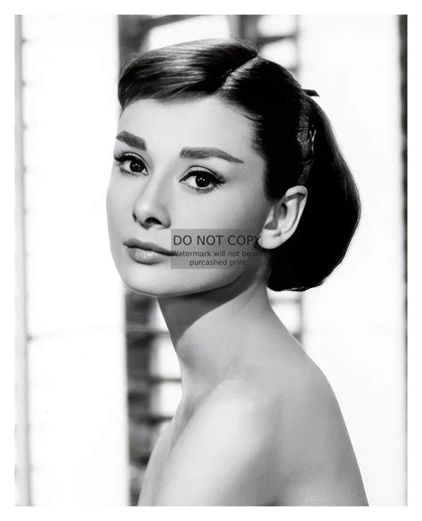 Audrey Hepburn Sexy Celebrity Actress Portrait 8x10 Bandw Photo 4730284970