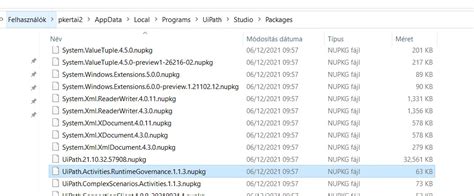 Could Not Load File Or Assembly Uipathactivitiesruntimegovernance