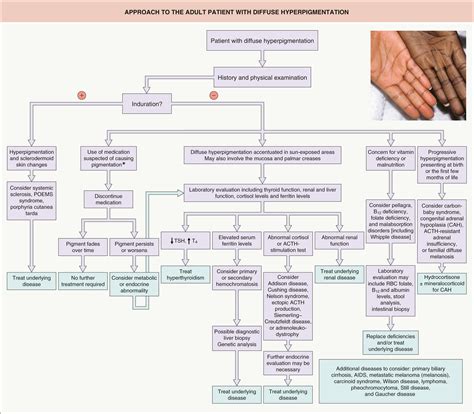 Disorders Of Hyperpigmentation Clinical Tree
