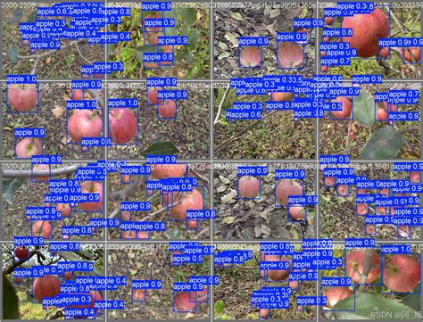 基于yolo11深度学习的果园苹果检测与计数系统设计与实现【python源码pyqt5界面数据集训练代码】 Csdn博客