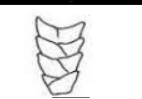 Forensics Test Flashcards Quizlet