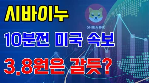 시바이누 코인 10분전 속보입니다 38원 시바이누코인 시바이누분석 코인 Shiba Youtube
