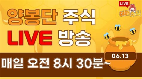 🍯 주식방송 6월 13일 하루에 상한가 2개 나왔다고 Youtube