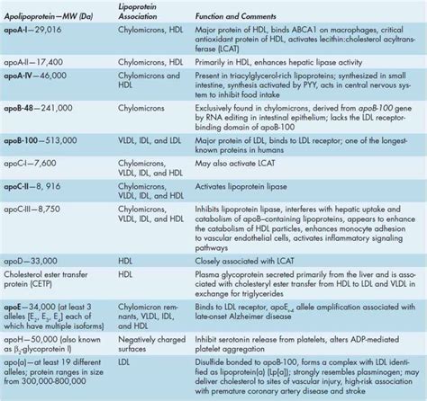 28 Lipids Lipoproteins Basicmedical Key