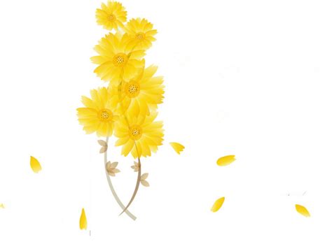 卡通菊花素材 包站长