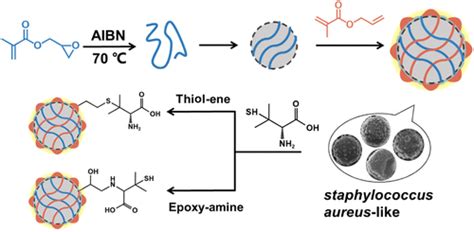 Facile One Pot” Fabrication Of Dual Functional Anisotropic Particles