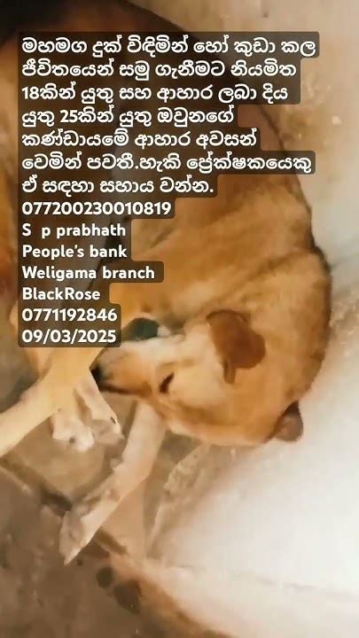 මොනවද ඒ එයාලගේ කෑම වලට දාන පෙති ජාතියසෙල්ලම් නෑ එයාලා නඩත්තු කරන එක Youtube