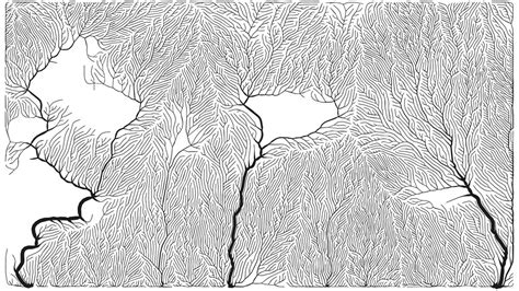 성장 패턴입니다 생성 분기 구조 선박 질감의 유기 그물입니다 무료 벡터