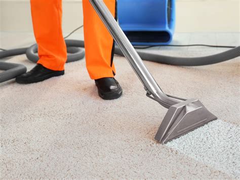 Pulizia E Lavaggio Di Moquette Clean Service Pulizie Roma