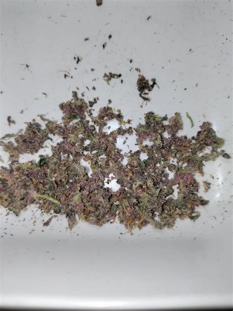 My Gdb All Broke Up💜😁 Rmicrogrowery