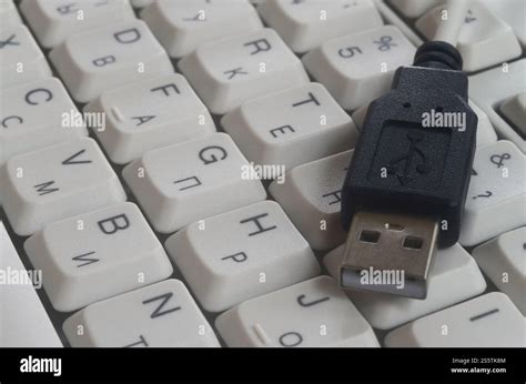 Black Usb Input On The White Classic Computer Keyboard Usb Input On The White Keyboard Stock