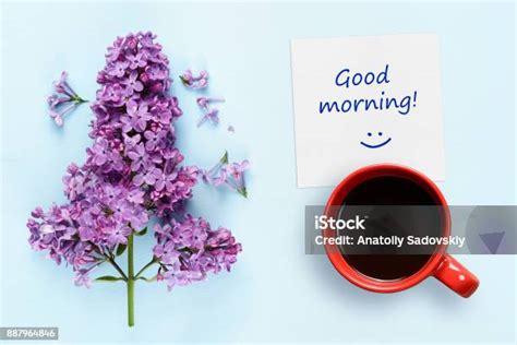 좋은 아침 소원 파란색 배경 평면도에 커피 컵과 라일락 꽃 0명에 대한 스톡 사진 및 기타 이미지 0명 꽃 식물 마실 것 Istock