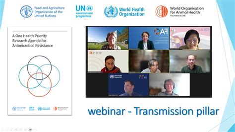 Fao Unep Who Woah Amr Dr Francesca Latronico