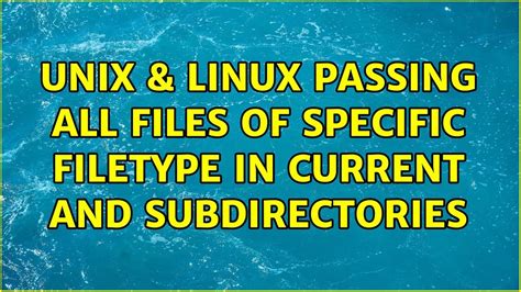 Unix And Linux Passing All Files Of Specific Filetype In Current And