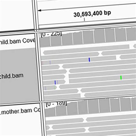 University Of Birmingham On Linkedin Bioinformatics Msc Diploma