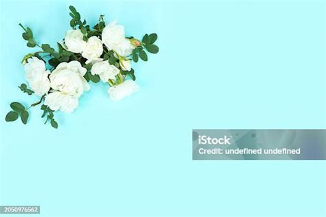 텍스트를 위한 공간이 있는 밝은 배경에 아름 다운 장미입니다 추상 꽃 구성 안녕하세요 봄 개념 디자인 템플릿 휴일에 대 한 꽃과 정물 개념에 대한 스톡 사진 및 기타 이미지