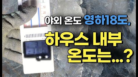 영하 18도 물만 있으면 겨울철 비닐하우스 농사 가능합니다 Youtube