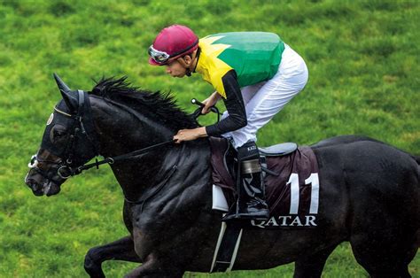11着の真実 横山和生＆タイトルホルダー「直線で感じた“慣れ”の差」 競馬 Number Web ナンバー