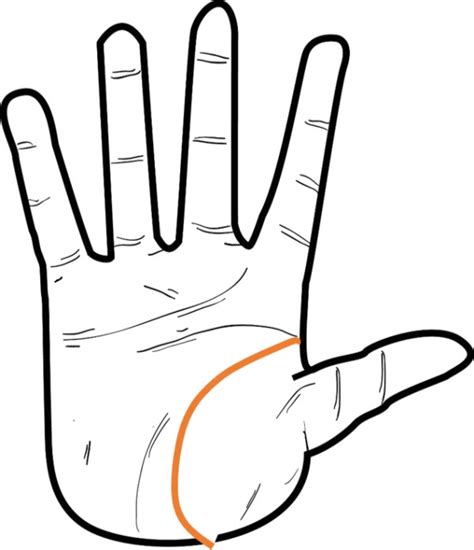 What Palm Reading Palmistry Can Tell You About Your Health And Wellness Cynthia Clark