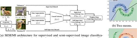 Figure 1 From Exploring Self Supervised Regularization For Supervised