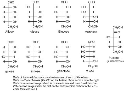 Monosaccharide Assignment Help Homework Help Online Live Tutoring