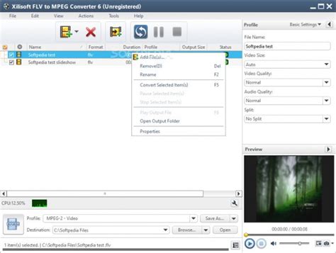 Xilisoft FLV To MPEG Converter Download Softpedia