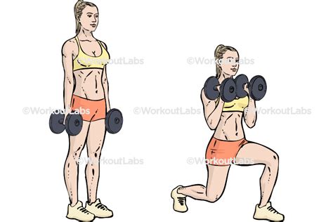 Hammer Curls Muscles Worked Pronated Supinated Or Neutral Grip