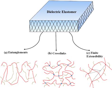 Schematic Of A Polymer Chains Network With Backbones And Side Chains
