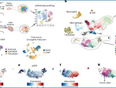 Transcriptome Sequencing Uncovers Altered Long Intergenic Non Coding