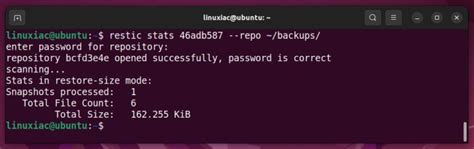 Restic Backup And Restore Data On Linux With Examples