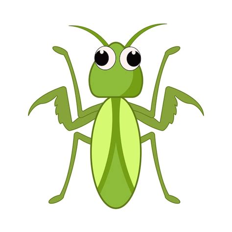 Premium Vector Illustration Of Bug