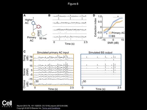 david m schneider sarah m n woolley neuron ppt download