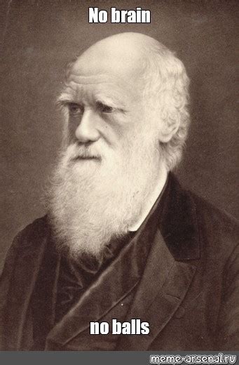 Create Meme Darwin Pictures Meme