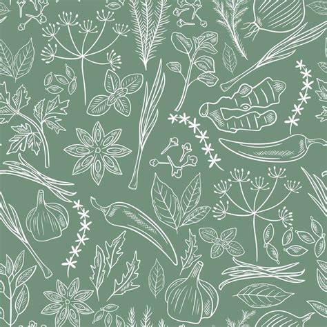 Spices Herbs And Herbs Hand Engraved Seamless Pattern 6592683 Vector