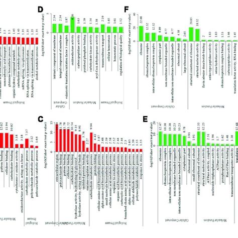Go Based Enrichment Analysis Of Differentially Expressed Proteins In Download Scientific