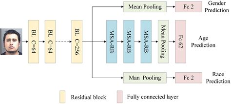 Multi‐task Multi‐scale Attention Learning‐based Facial Age Estimation Shi 2023 Iet Signal