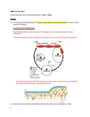 MBB Problem Set Answers Docx MBB Tutorial Decide Whether Each Of These Statements