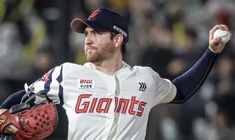 상승기류 탄 독수리·갈매기 너를 밟고 내가 높이 난다”