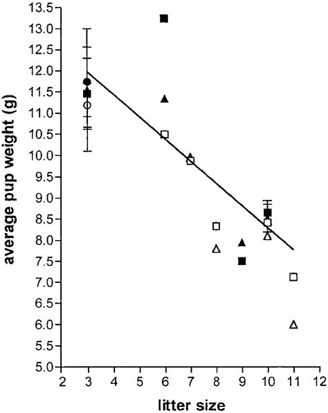 Inverse Correlation Between Litter Size And Pup Weight Linear Download Scientific Diagram