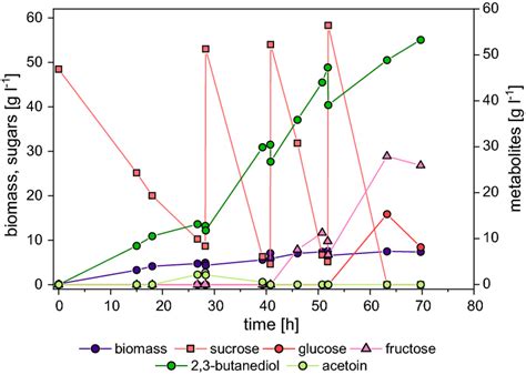 Small Scale Pulsed Fed Batch Cultivation Of E Coli W445ediss In