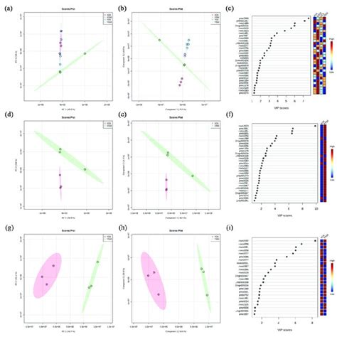 Multivariate Pattern Recognition Analysis Of Metabolomics A Pca Plot Download Scientific
