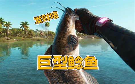 钓了一条巨型鲶鱼 我把它卖掉买了一把超强武器！【孤岛惊魂6】 碎念无痕qwq 碎念无痕qwq 哔哩哔哩视频