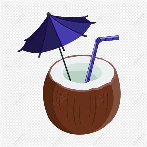 코코넛 손으로 그린 벡터 Png 일러스트 무료 다운로드 Lovepik