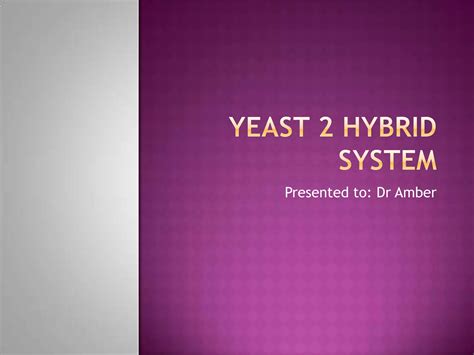 Yeast 2 Hybrid System Ppt By Meera Qaiser Pptx Biological Sciences Science