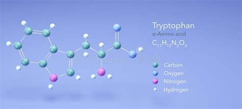 Tryptophan Molecular Structures Amino Acid 3d Model Structural Chemical Formula And Atoms