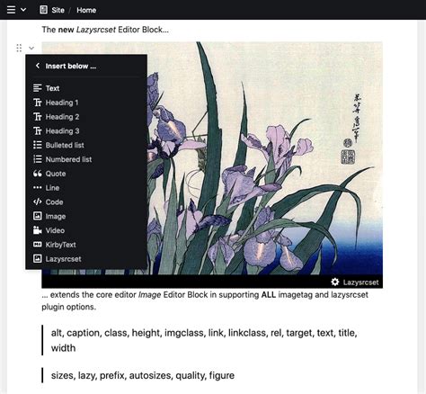 Github Bnomeikirby3 Srcset Kirby 3 Plugin For Creating Lazyloading