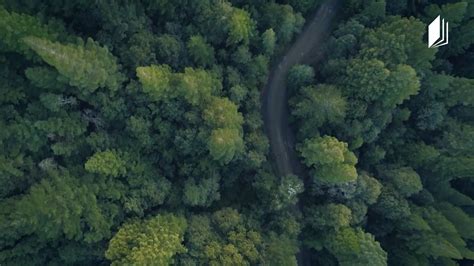 ტუნდრა და ტაიგა 🔻 ტუნდრა და ტაიგა By ტელესკოლა • 1tv Ge