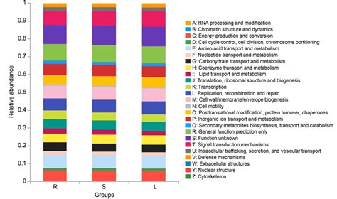Functional Relative Abundance Of Roots Stems And Leaves N 6 S Download Scientific