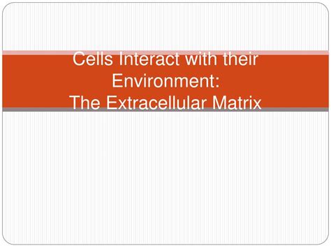 Ppt Cells Interact With Their Environment The Extracellular Matrix