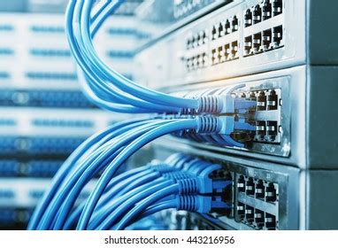 Thousand Ethernet Cable Royalty Free Images Stock Photos Pictures Shutterstock